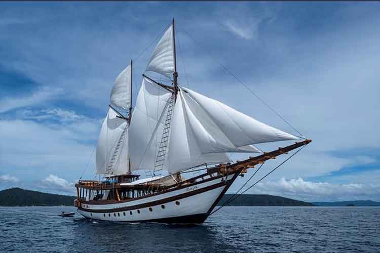 Majik Cruise - Koonam | Get Special Disc. until 15%