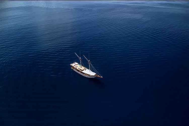 Majik Cruise - Koonam | Get Special Disc. until 15%