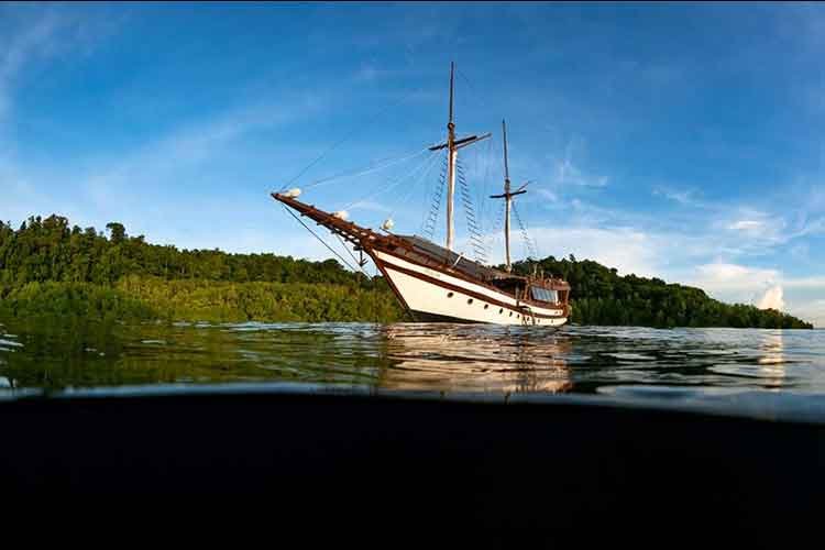 Majik Cruise - Koonam | Get Special Disc. until 15%